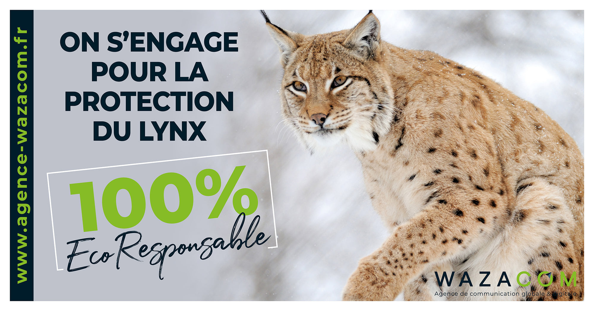 La Wazateam s’engage pour la protection du Lynx avec le centre Athenas ...